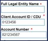 HSBC Global Banking and Markets (Hong Kong) Auditor Guidance Checklist